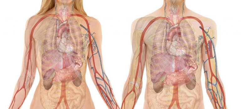 Boala Addison si boala celiaca | Celiaci.ro